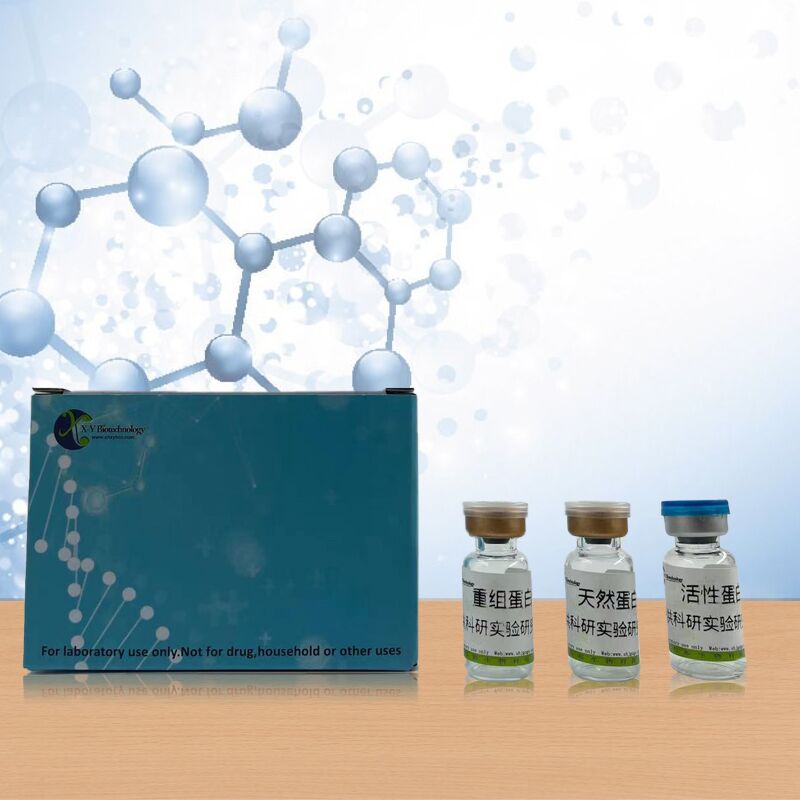 OVA Conjugated Cytochrome P450 3A7 (CYP3A7) XY91398CPSHu - 上海信裕生物 - 信裕 ...