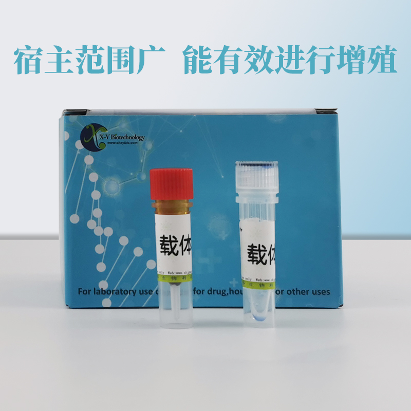 pDONR207 载体 XY91153VT - 上海信裕生物 - 信裕生物-试剂盒,ELISA试剂盒, 检测试剂盒,抗体,细胞系,原代细胞 ...