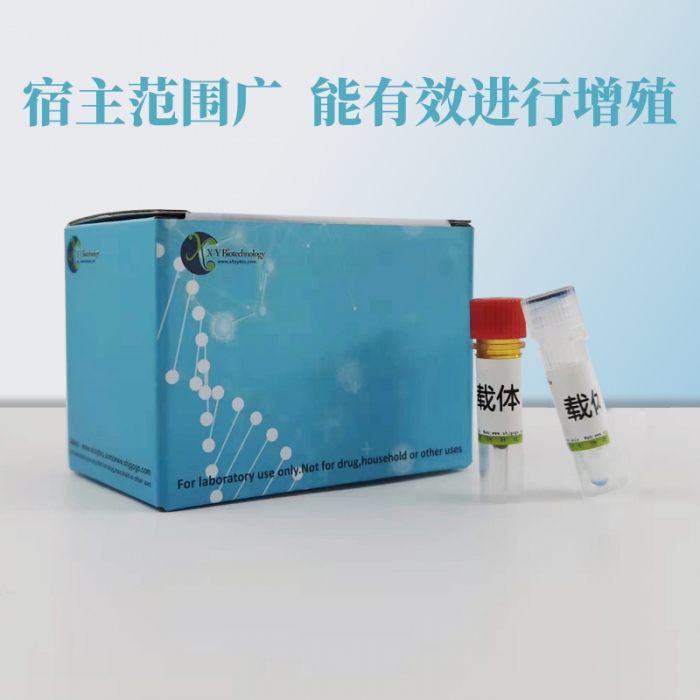 pGEX-4T-2 载体 XY91733VT - 上海信裕生物 - 信裕生物-试剂盒,ELISA试剂盒, 检测试剂盒,抗体,细胞系,原代细胞 ...