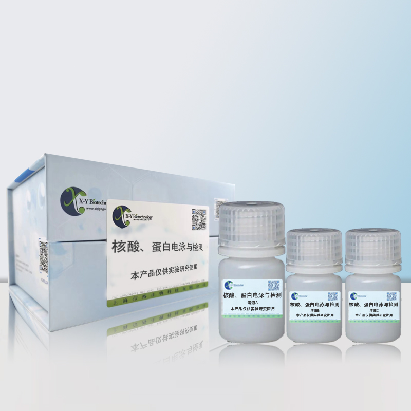 T7体外转录试剂盒 XY90249DY - 信裕生物 - 信裕生物-试剂盒,ELISA试剂盒, 检测试剂盒,抗体,细胞系,原代细胞,ATCC ...