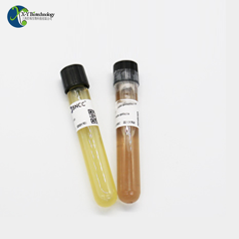 枯草杆菌WB600菌种 XY900058TZ - 上海信裕生物 - 信裕生物-试剂盒,ELISA试剂盒, 检测试剂盒,抗体,细胞系,原代细胞 ...